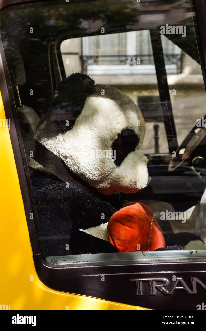 Stuffed Animal Panda on the Passenger Seat of a Car in Paris, France ...