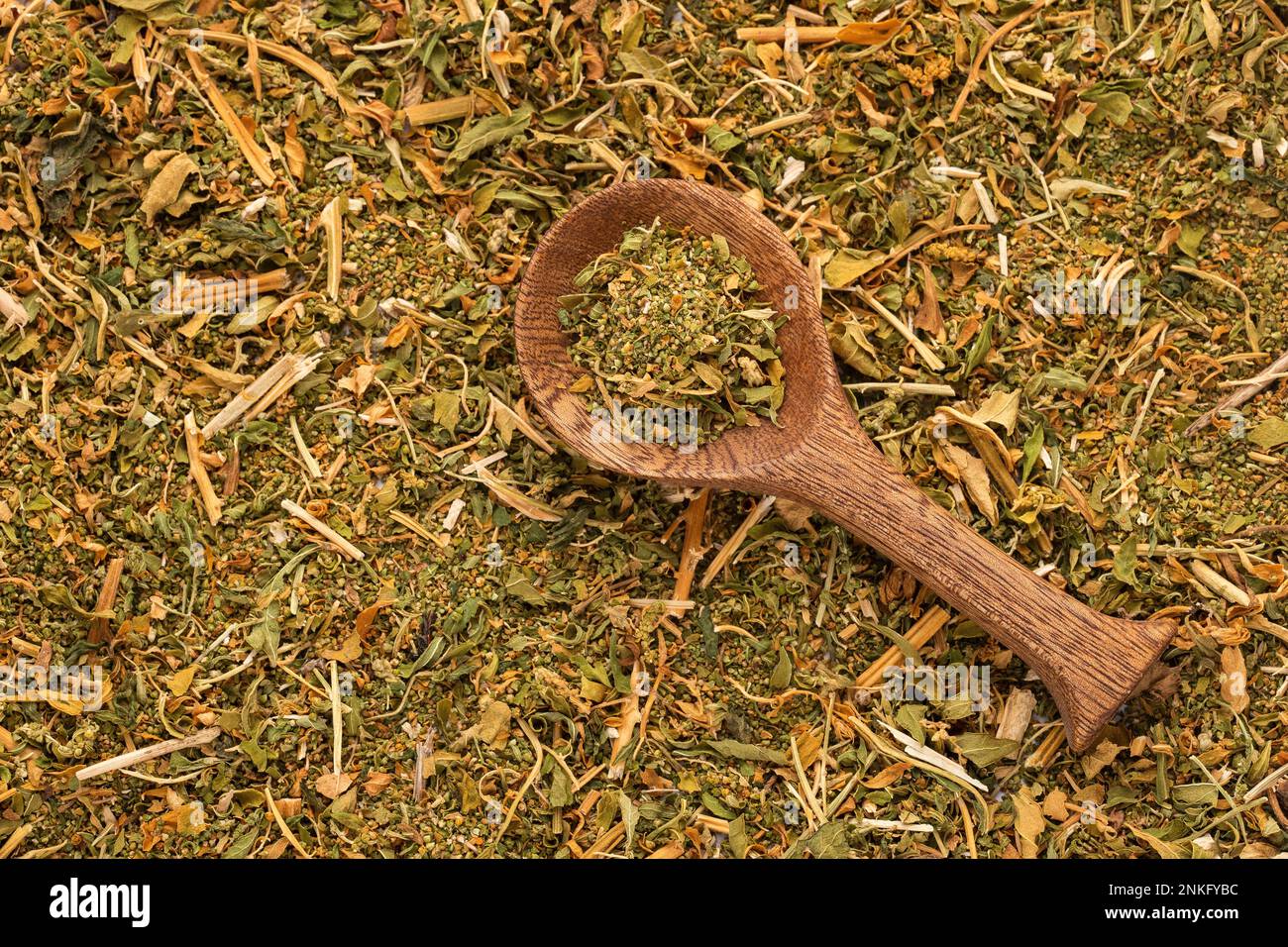 Dried leaves of epazote in the spoon - Dysphania ambrosioides Stock ...