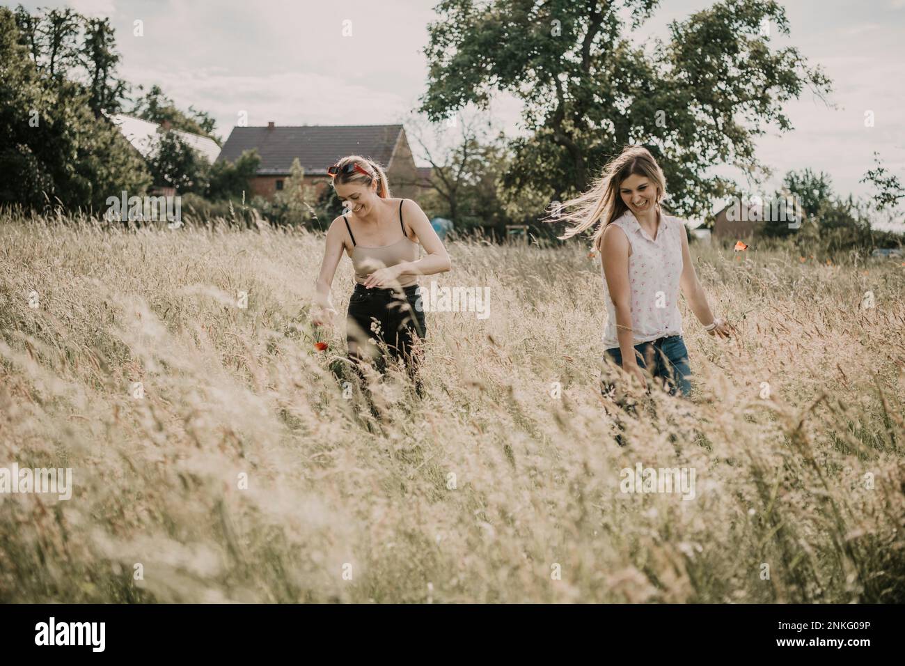 Withdrawal field hi-res stock photography and images - Alamy