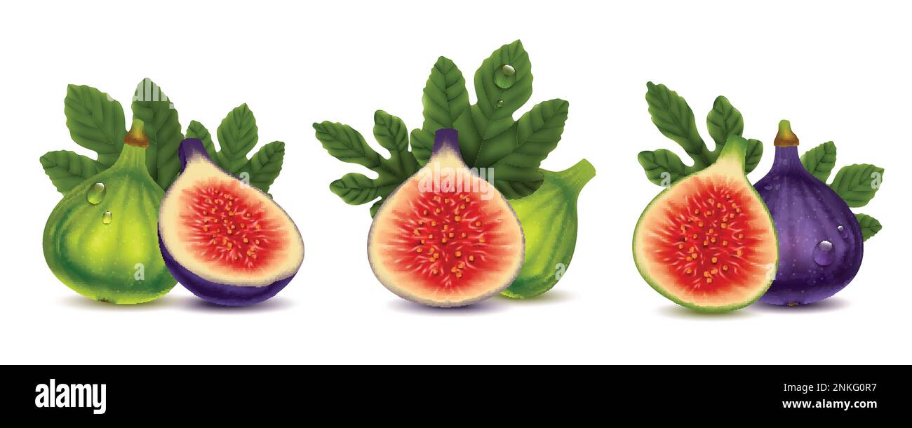 Figs realistic compositions of whole and half fruits with green and ...
