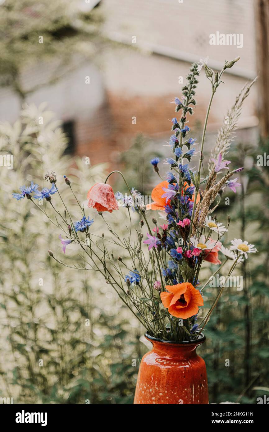 Multi colored wild flowers in vase Stock Photo - Alamy