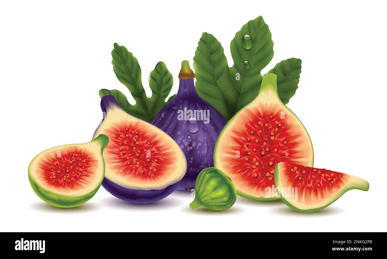 Figs realistic composition consisting of whole and cut fresh ripe ...