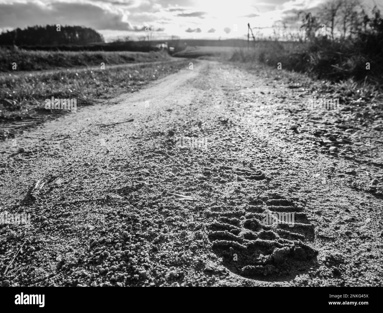 Country Dirt Road Black And White