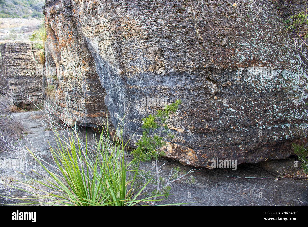 Geological granite stone rock boulder on a footpath in Pedernales Falls ...