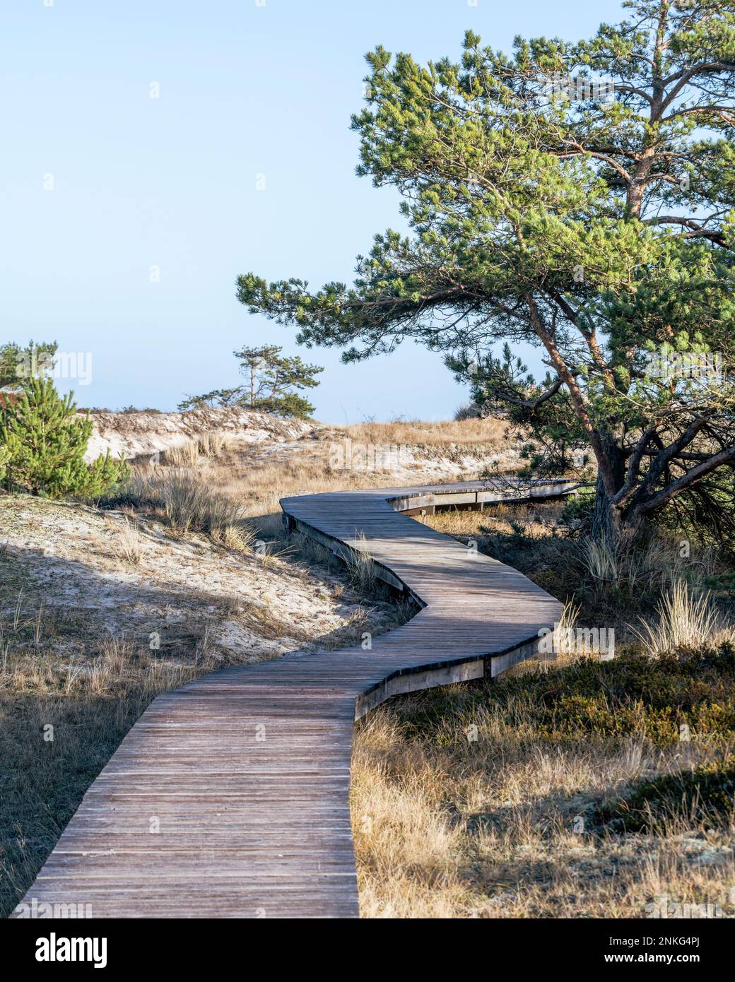 Fischland darss zingst hi-res stock photography and images - Alamy