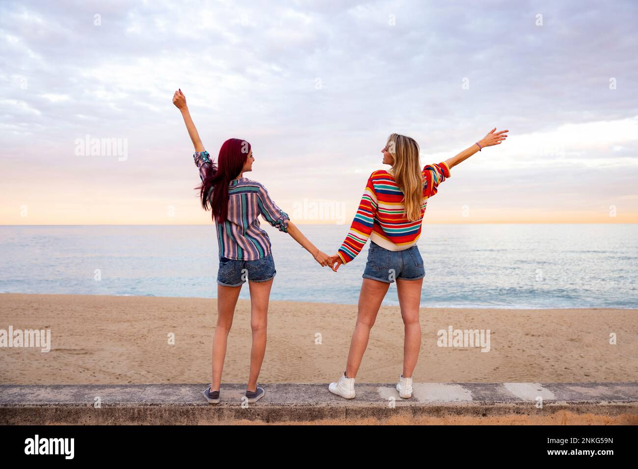 Two Best Friends Holding Hands In The Sunset