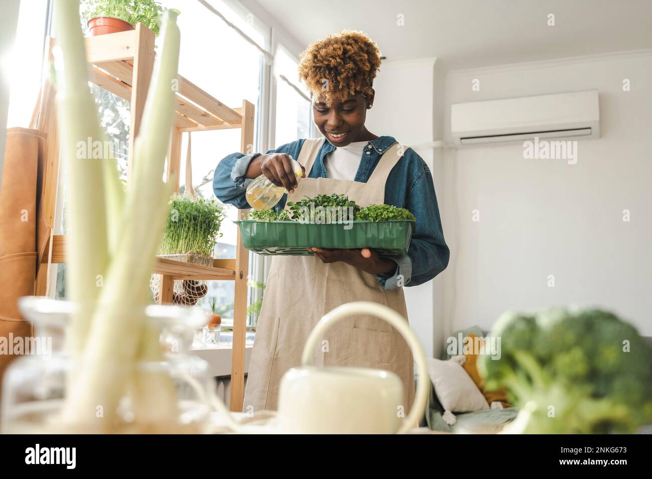 Plants container hi-res stock photography and images - Alamy