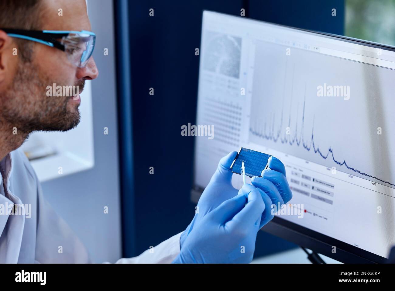Scientist analyzing sample in a microbiological lab Stock Photo - Alamy