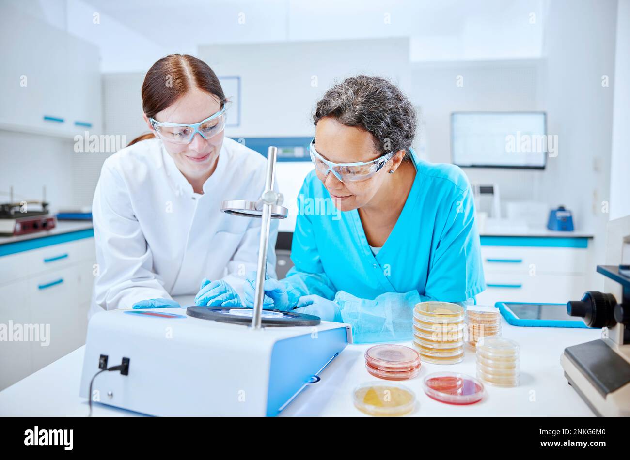 Two female scientists analyzing a sample in a microbiological lab Stock ...