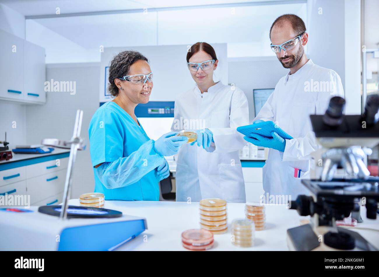 Three scientists working together in a microbiological lab Stock Photo ...