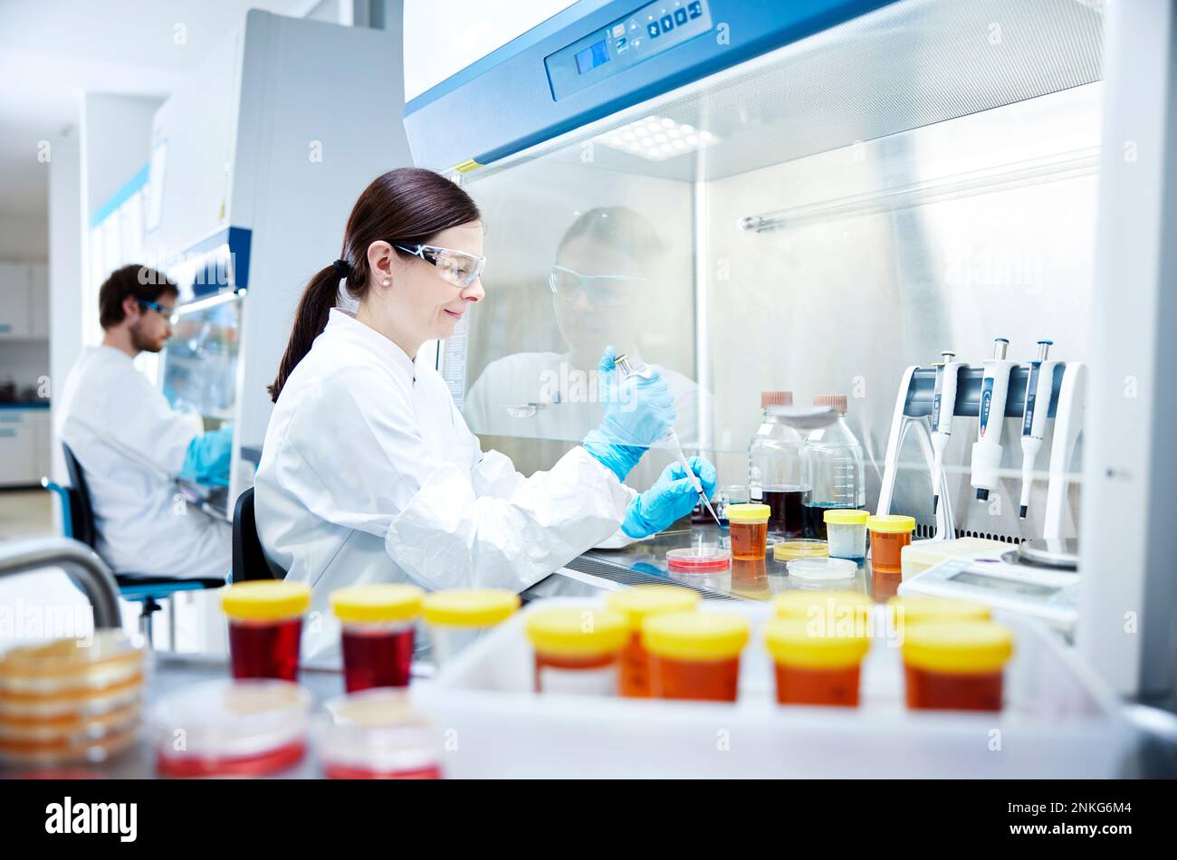 Female scientist testing in a microbiological lab Stock Photo - Alamy