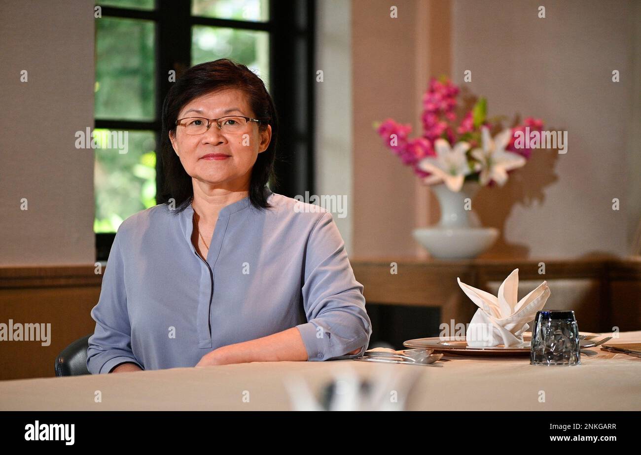 Professor Leo Yee Sin, Executive Director, National Centre for ...