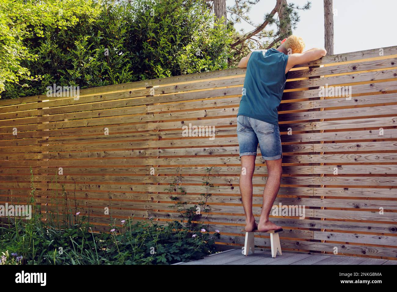 Young tree fence hi-res stock photography and images - Alamy