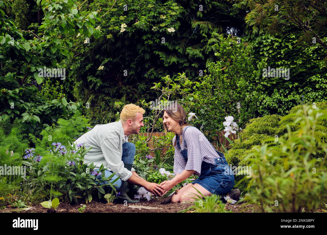 Helping ecology hi-res stock photography and images - Alamy