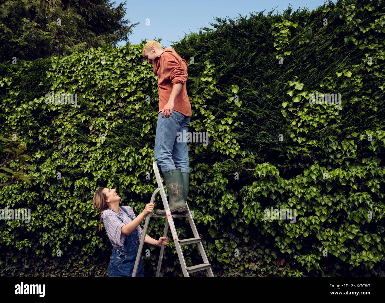 Happy woman talking to boyfriend standing on ladder near hedge Stock ...
