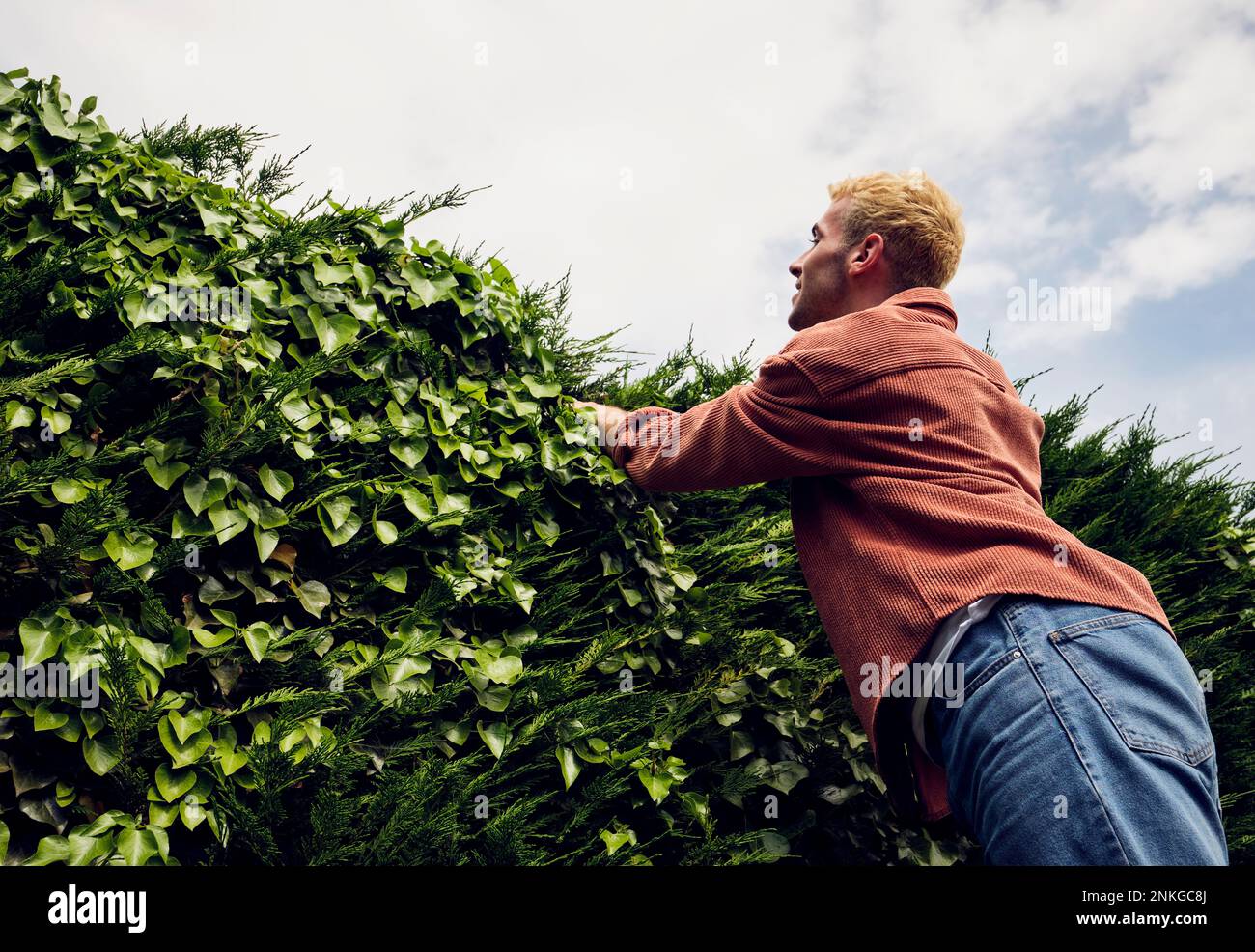Pruning hedge angle hi-res stock photography and images - Alamy