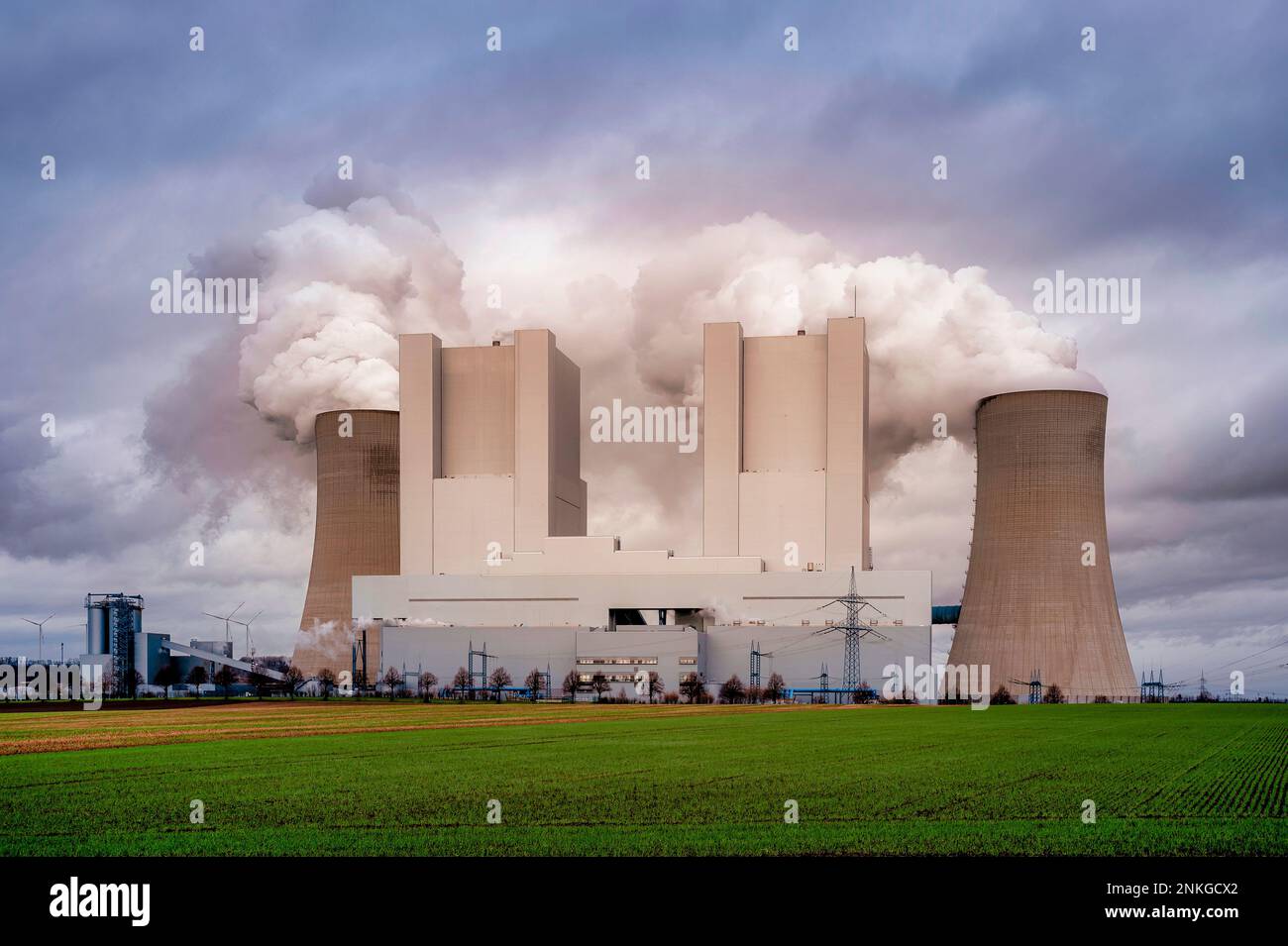 Germany, North Rhine Westphalia, Grevenbroich, Agricultural field in ...