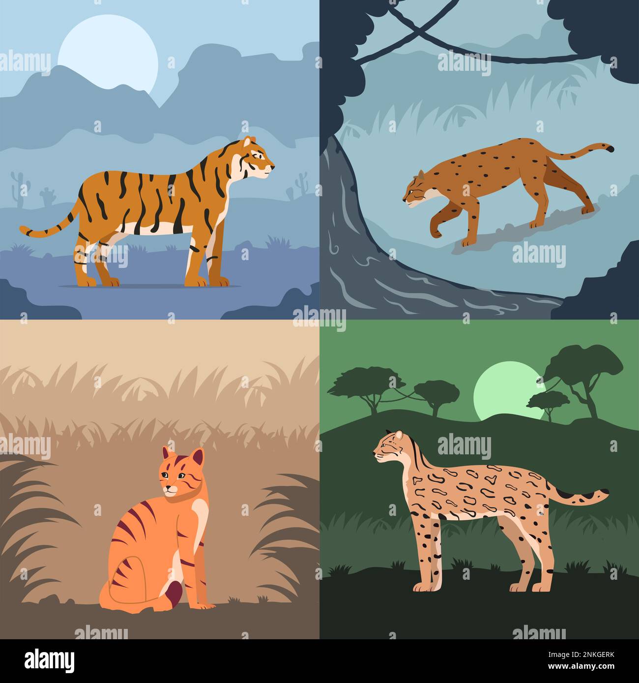 Wild cats flat 2x2 set of square compositions with exotic outdoor landscapes with tigers and ...