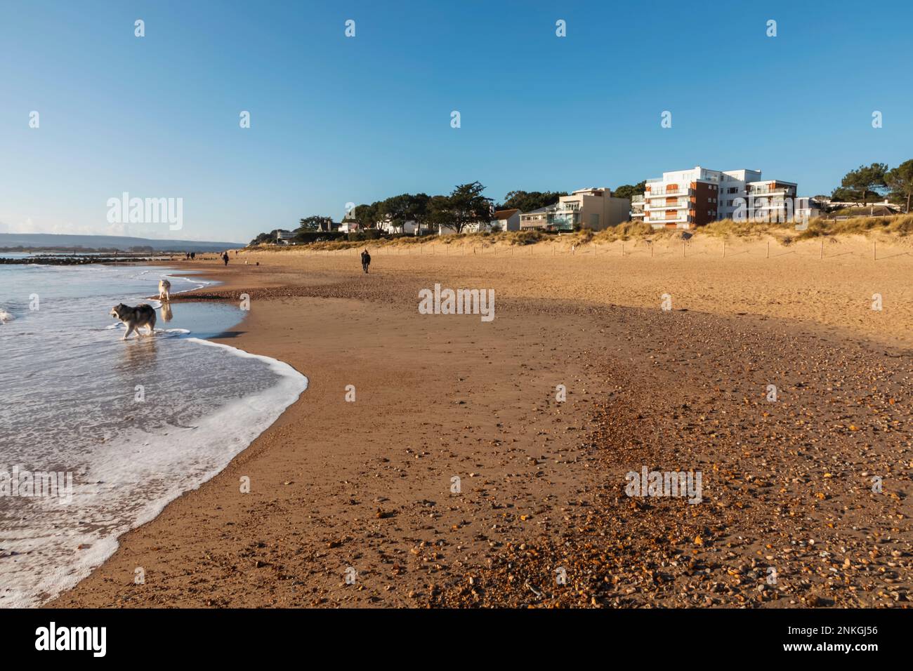 England, Dorset, Poole, Sandbanks Beach and Luxury Waterfront Houses ...