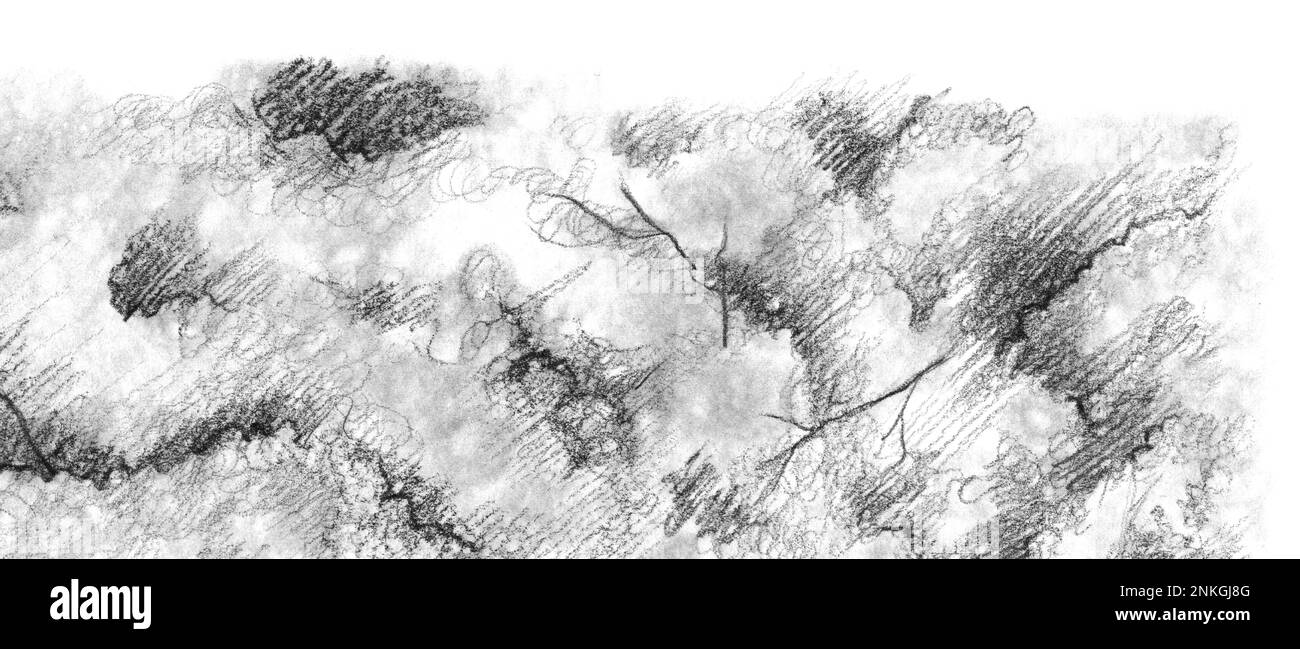 Black and white monochrome tree nature pencil sketch line art texture ...