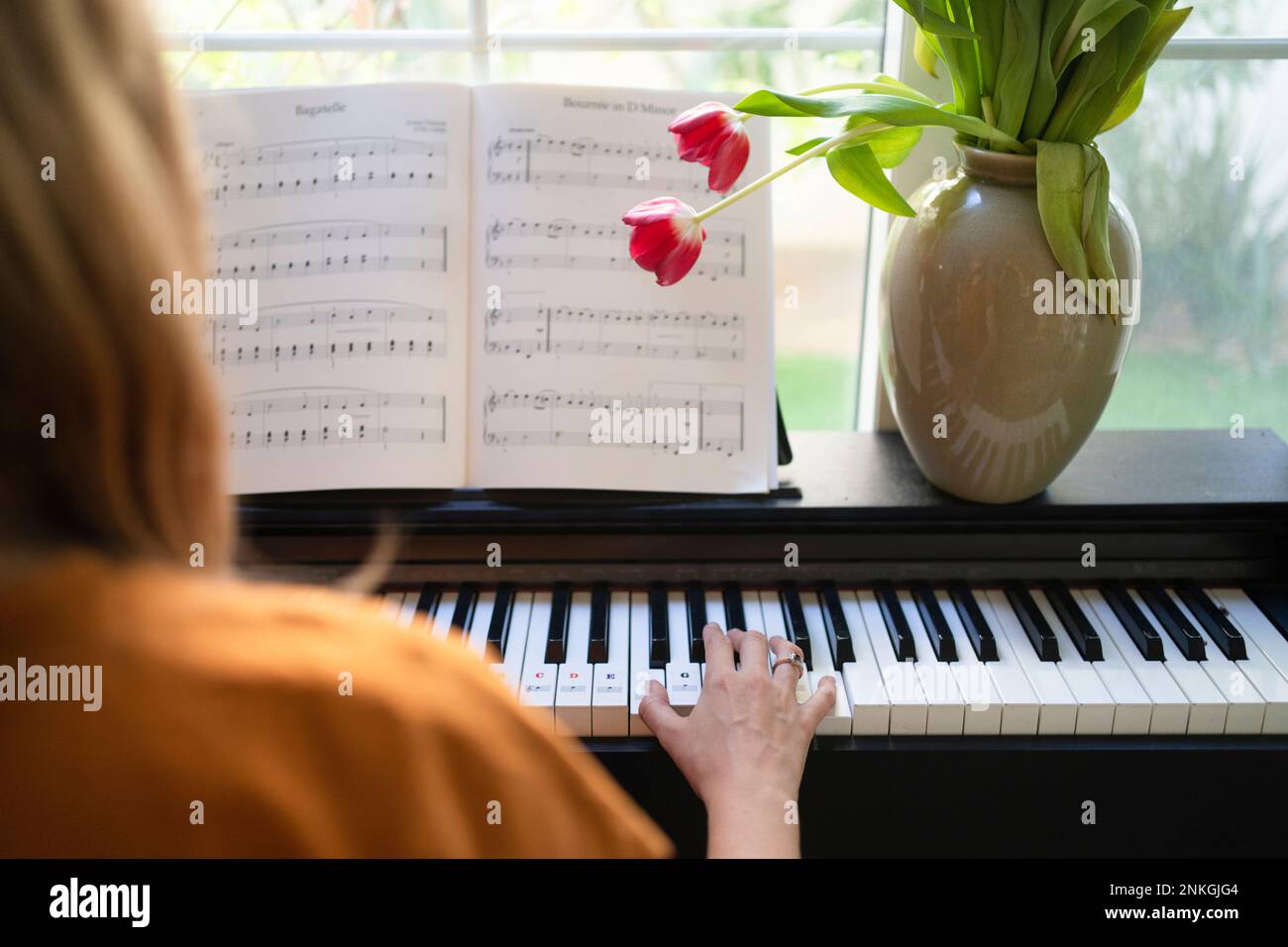 Piano woman rear view hi-res stock photography and images - Alamy