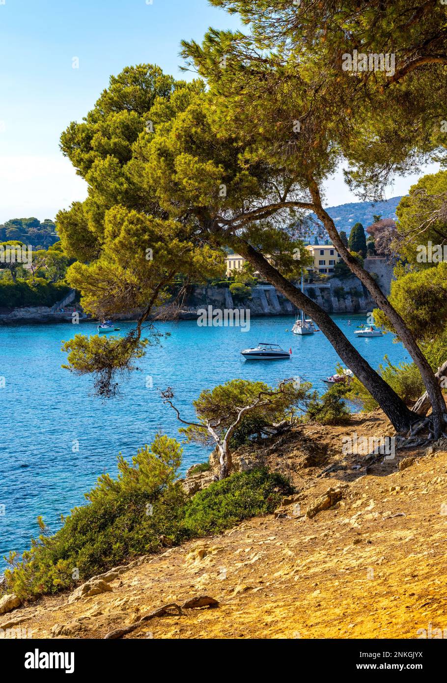 Bay and laguna summer landscape offshore Saint-Jean-Cap-Ferrat resort ...
