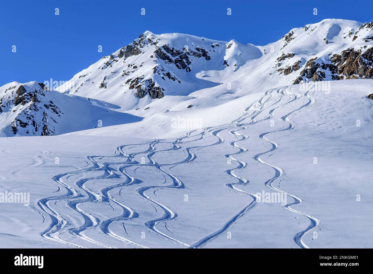 Austria, Tyrol, Winding tracks in snow Stock Photo - Alamy