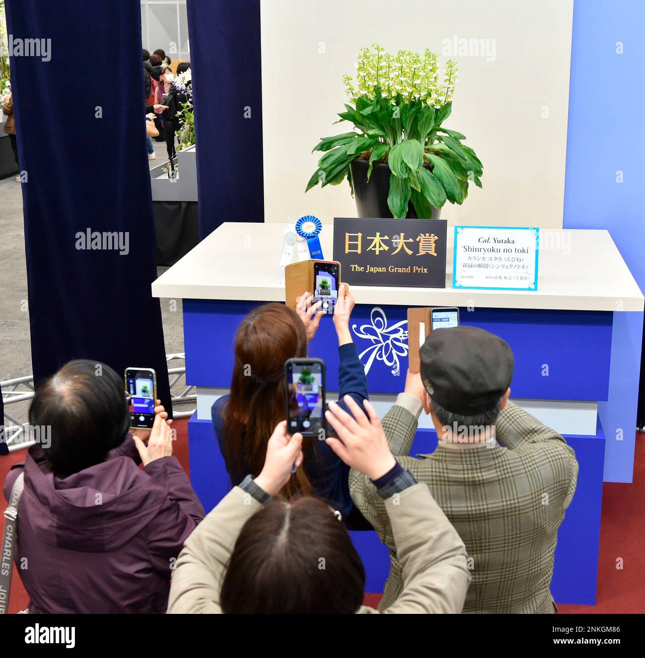 Japan Grand Prix International Orchid and Flower Show starts at a hall ...