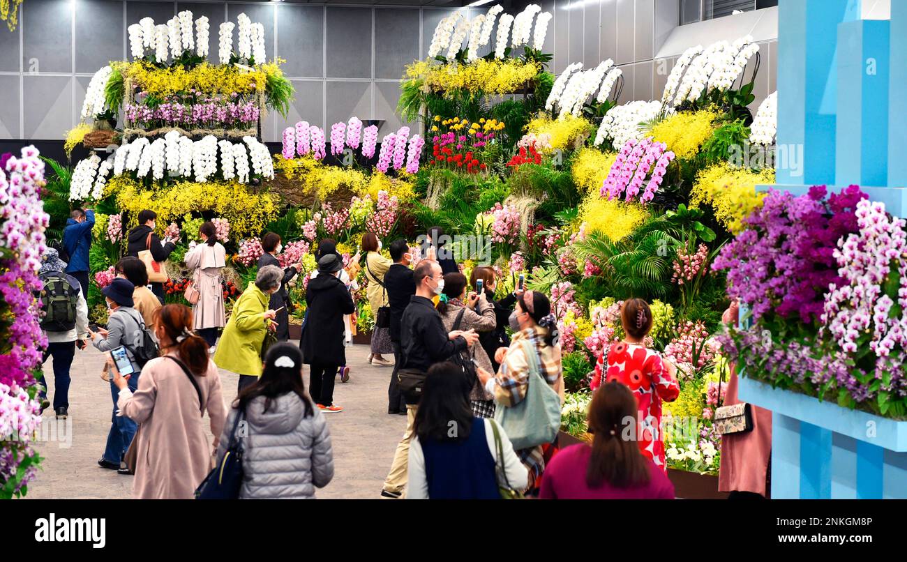 Japan Grand Prix International Orchid and Flower Show starts at a hall ...