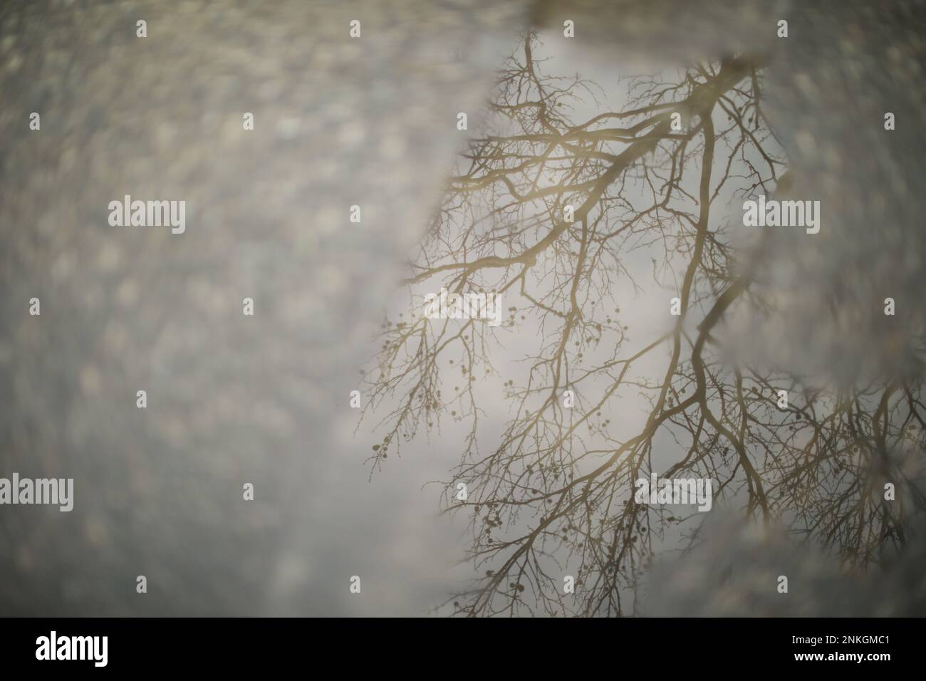 Water reflection showing nature lake and city Stock Photo - Alamy
