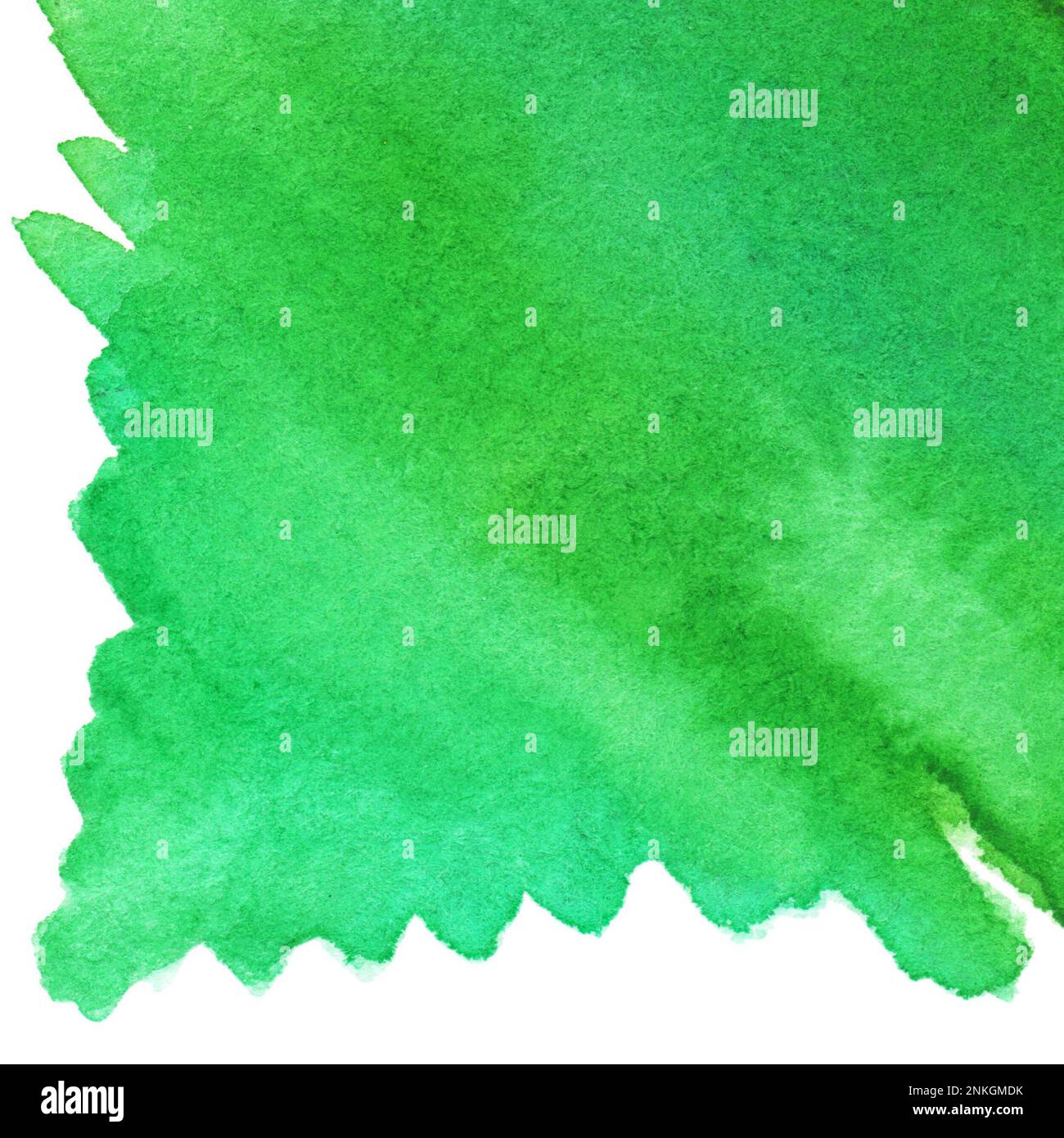 Watercolor green spot backdrop texture background isolated Stock Photo ...