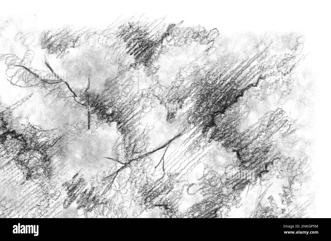 Black and white monochrome tree nature pencil sketch line art texture ...