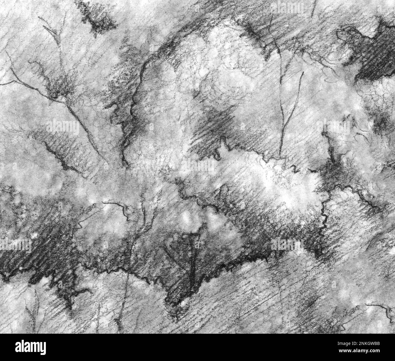 Black and white monochrome tree nature pencil sketch line art texture ...