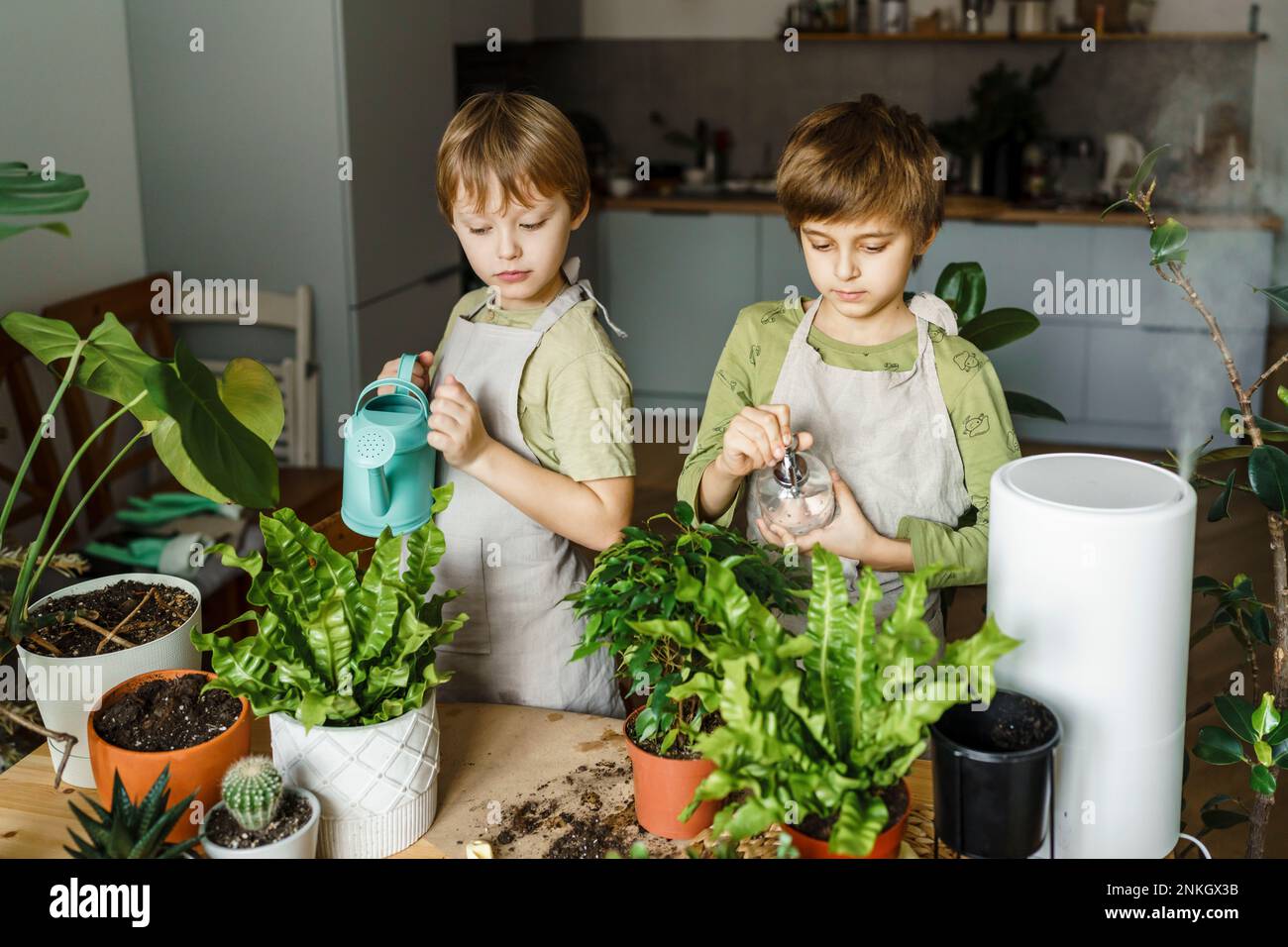 Cute boys watering plants at home Stock Photo - Alamy