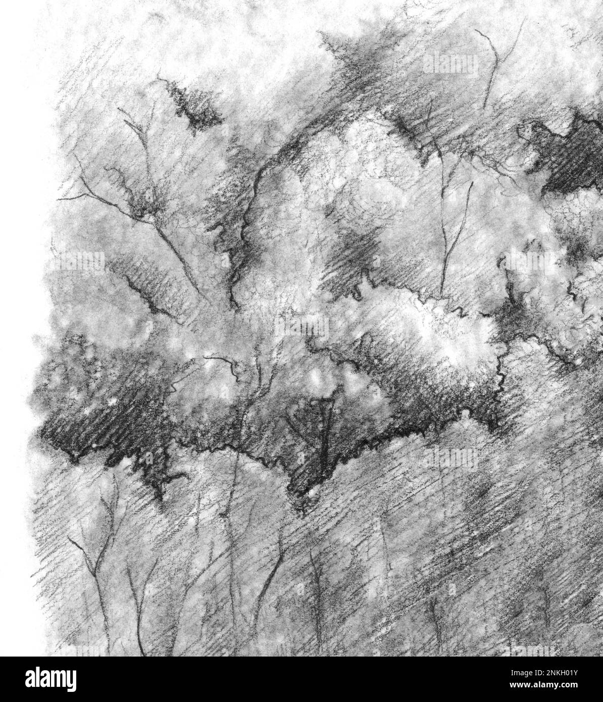 Charcoal Drawing Of Nature