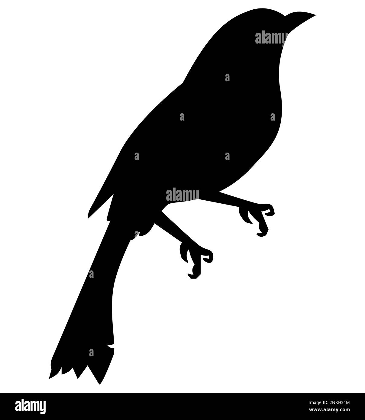 The sparrow hawk Stock Vector Images - Alamy