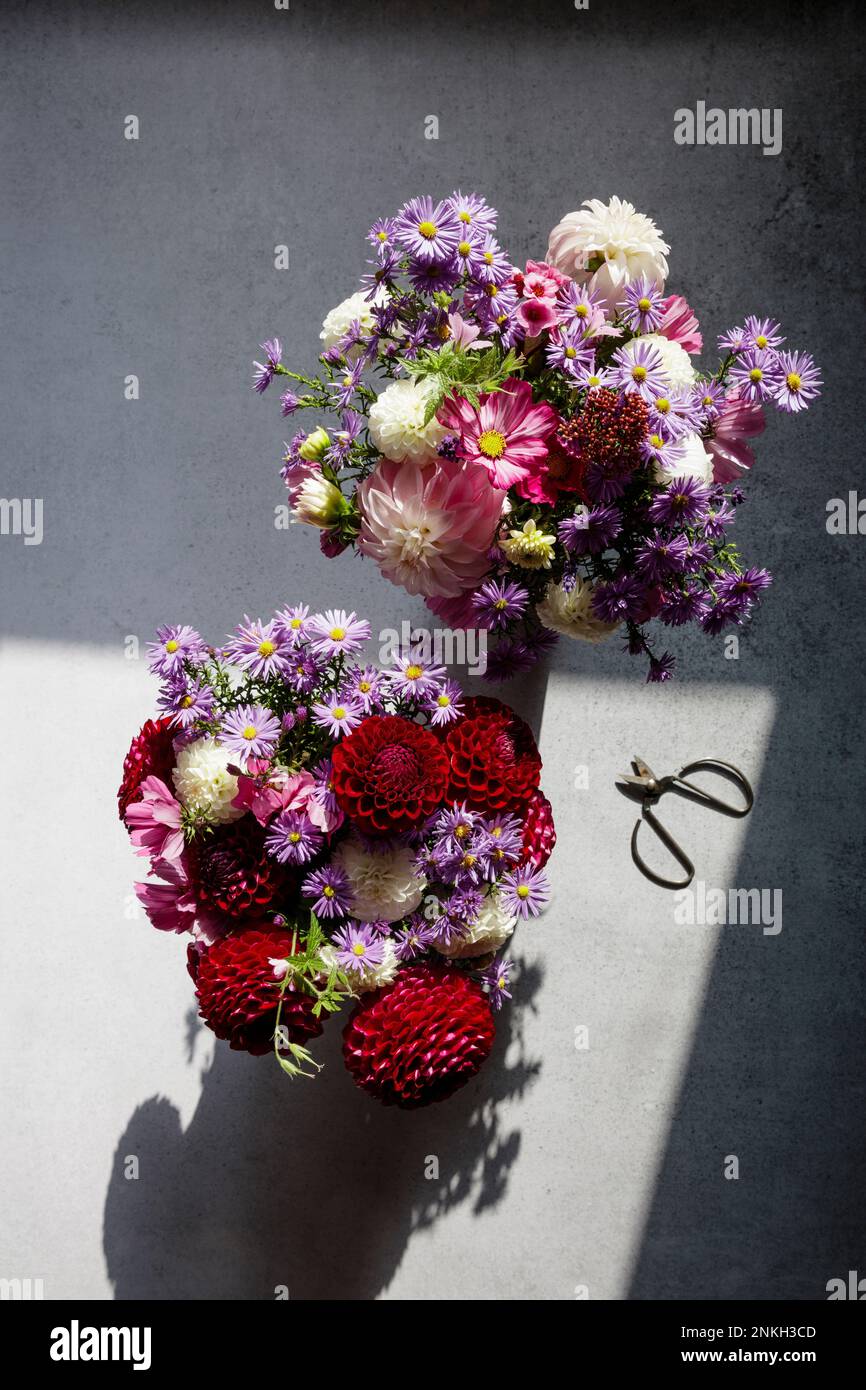 Two seasonal hi-res stock photography and images - Alamy