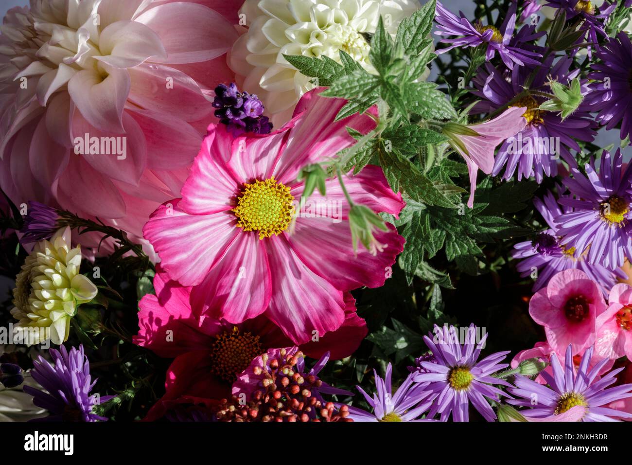 Seasonal flowers hi-res stock photography and images - Alamy