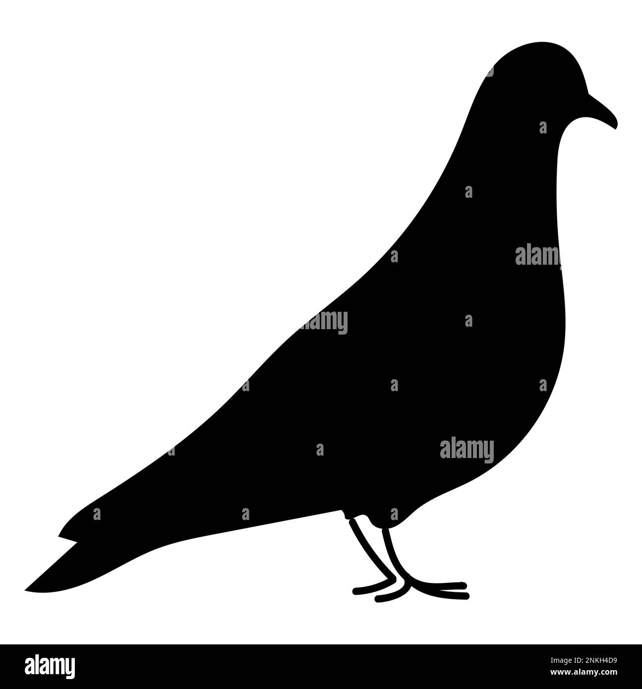 Pigeon bird silhouette hi-res stock photography and images - Alamy