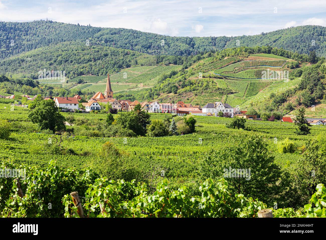 Vineyards small village in hi-res stock photography and images - Alamy