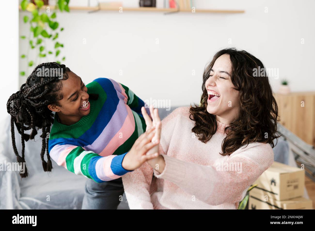 Happy young woman giving high five to friend at home Stock Photo - Alamy