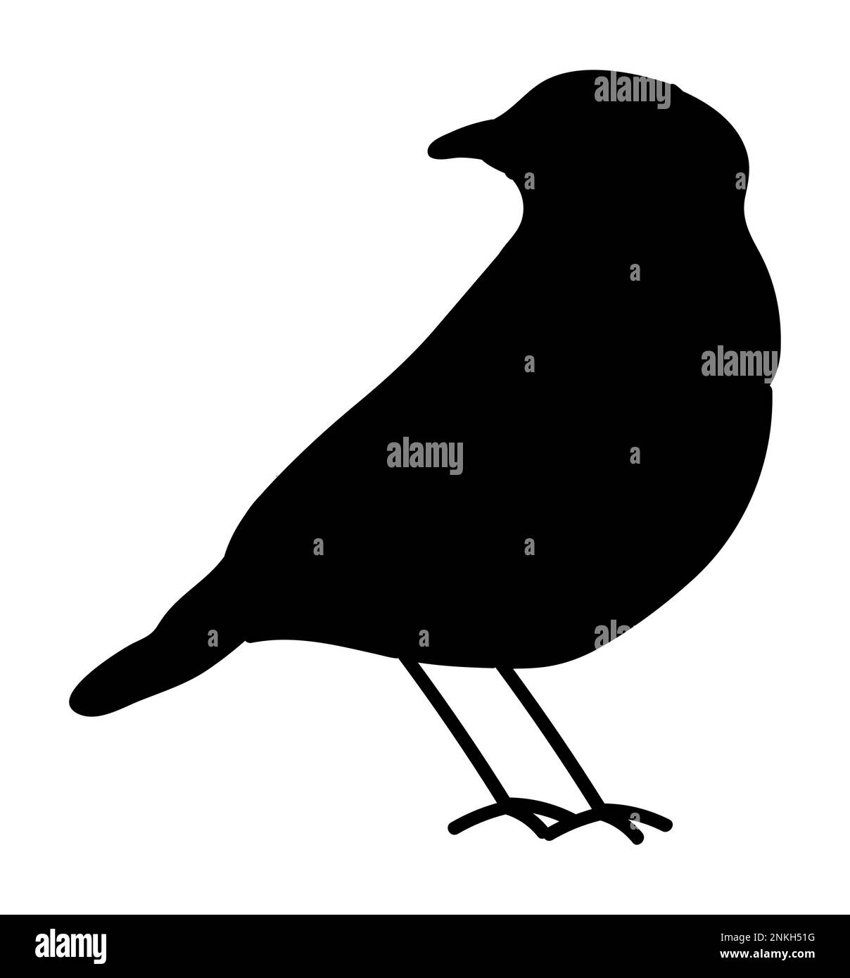 Sparrow blue background Stock Vector Images - Alamy