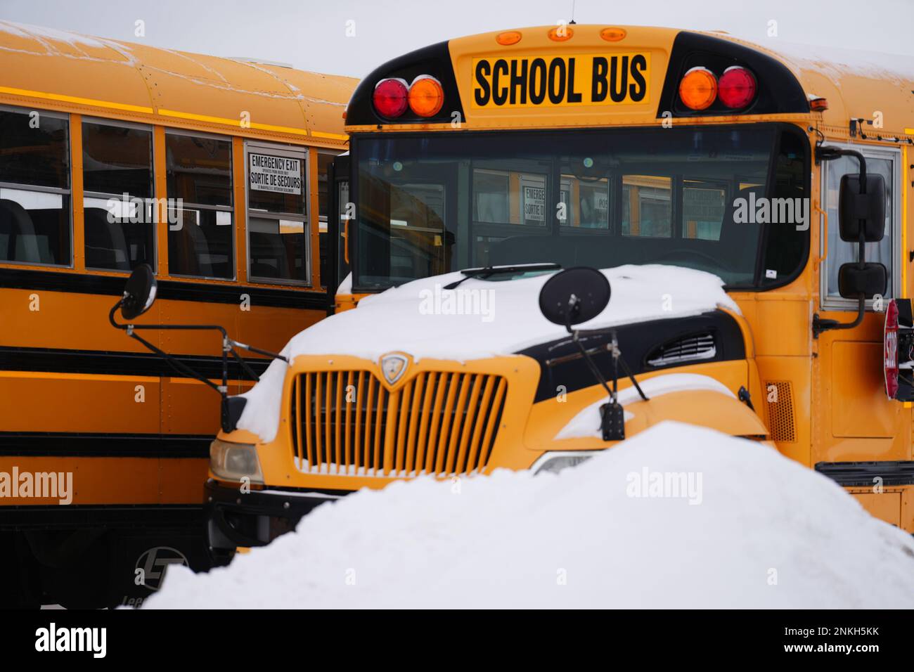 Snow covered school buses are seen in a lot in Ottawa on Thursday, Feb ...
