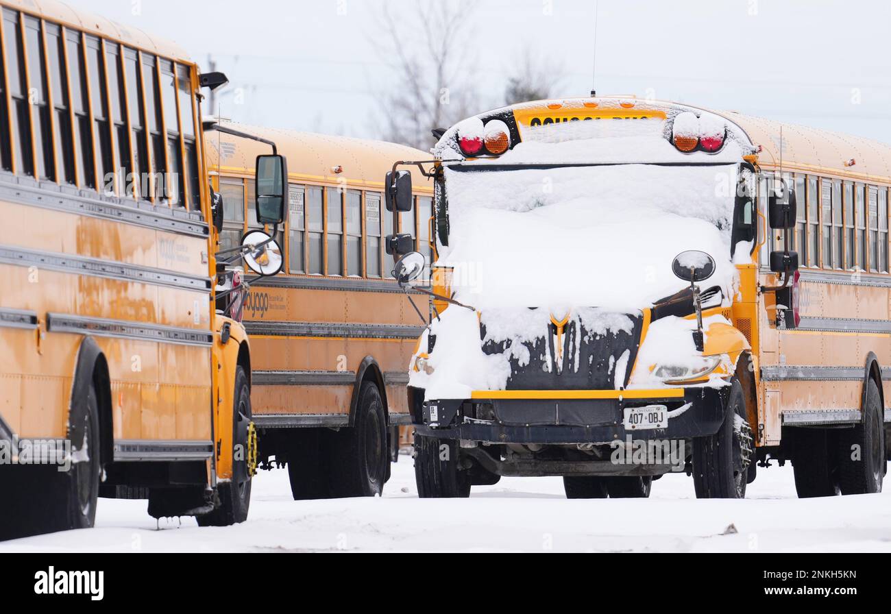 Snow covered school buses are seen in a lot in Ottawa on Thursday, Feb ...