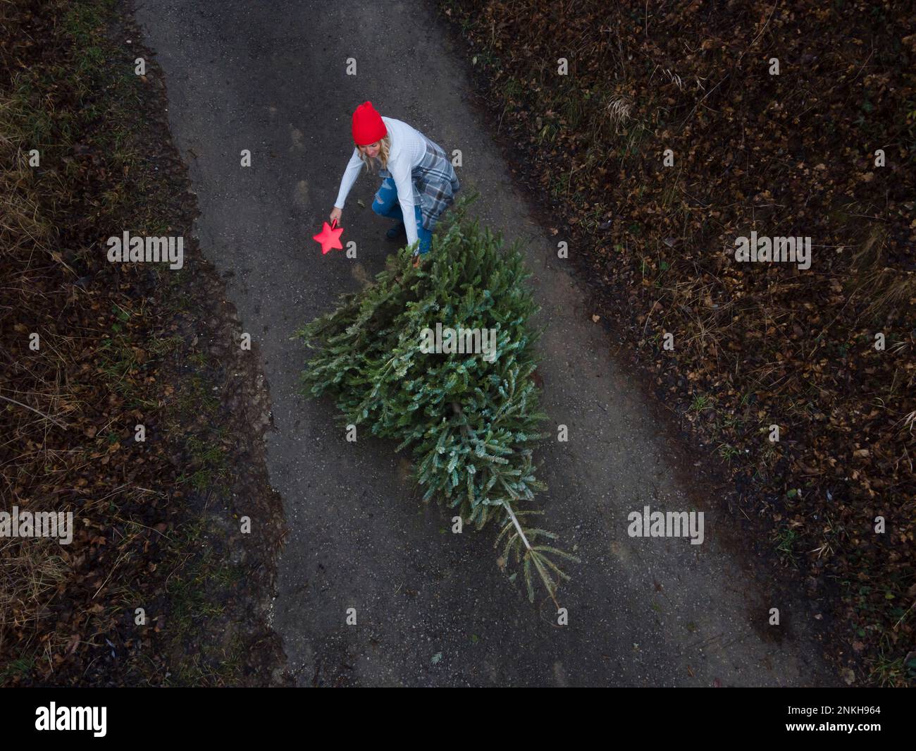Person pulling christmas tree hi-res stock photography and images - Alamy