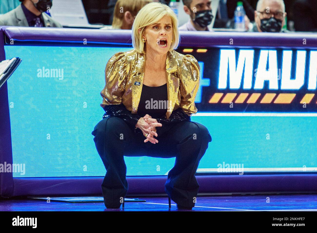 BATON ROUGE, LA - MARCH 19: LSU Tigers head coach Kim Mulkey coaches ...