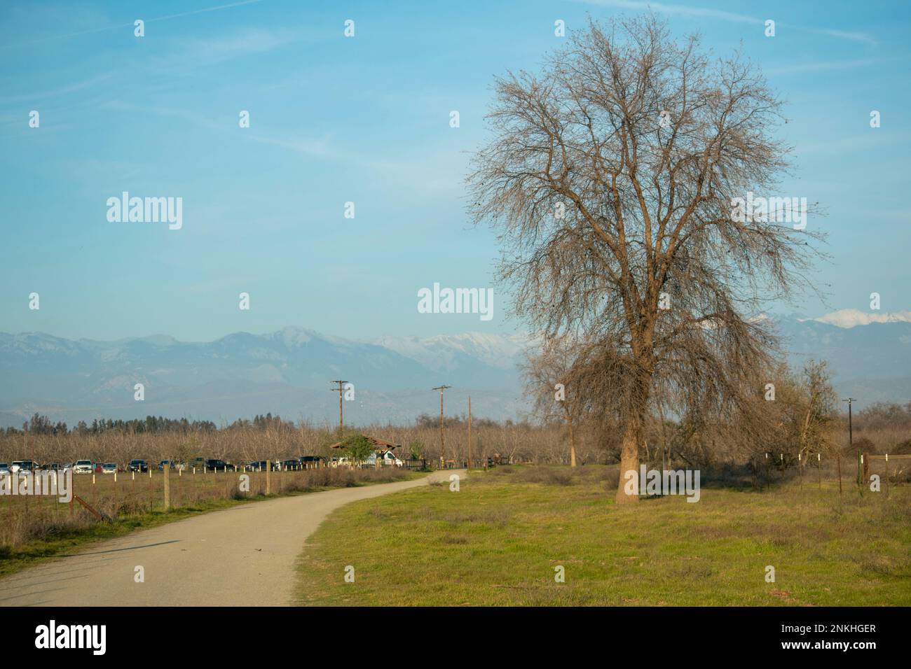 Kaweah Oaks Preserve is a good place for wildlife photography near ...