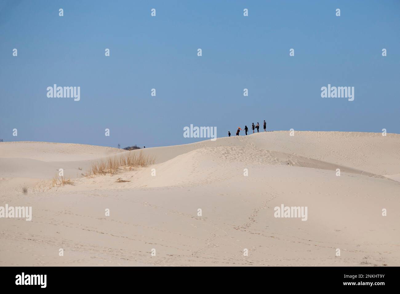 Visitors to Monahans Sandhills State Park walk the crest of a sand dune ...