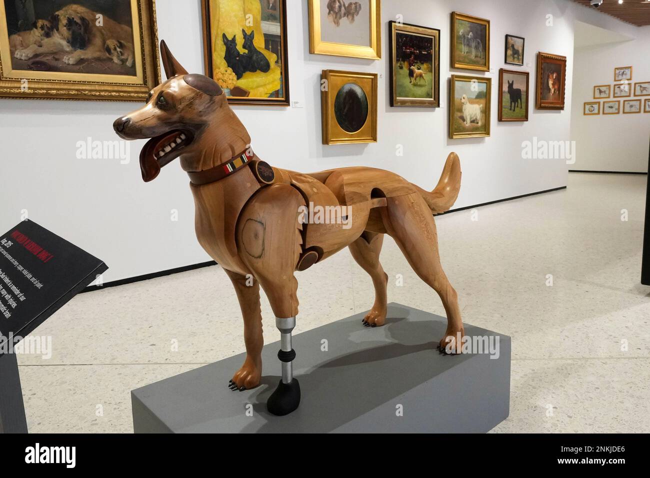 Are Dogs Allowed At The Dog Museum