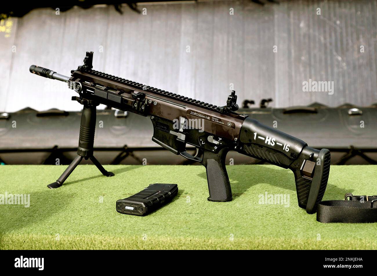 Japanese Ground Self-Defense Force operates Howa Type 20 Assault Rifle ...